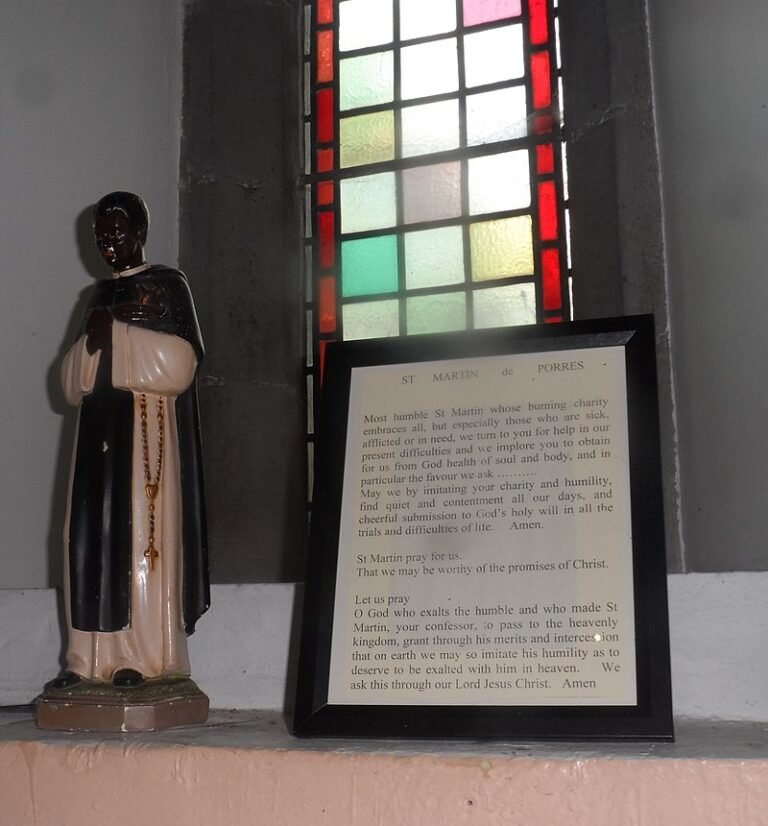 St Martin de Porres: From Humble Beginnings to Saintly Status - 11 ...
